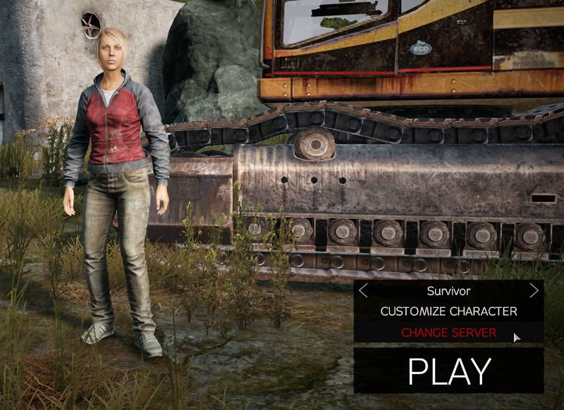 Connect to a DayZ PC Server | NITRADO